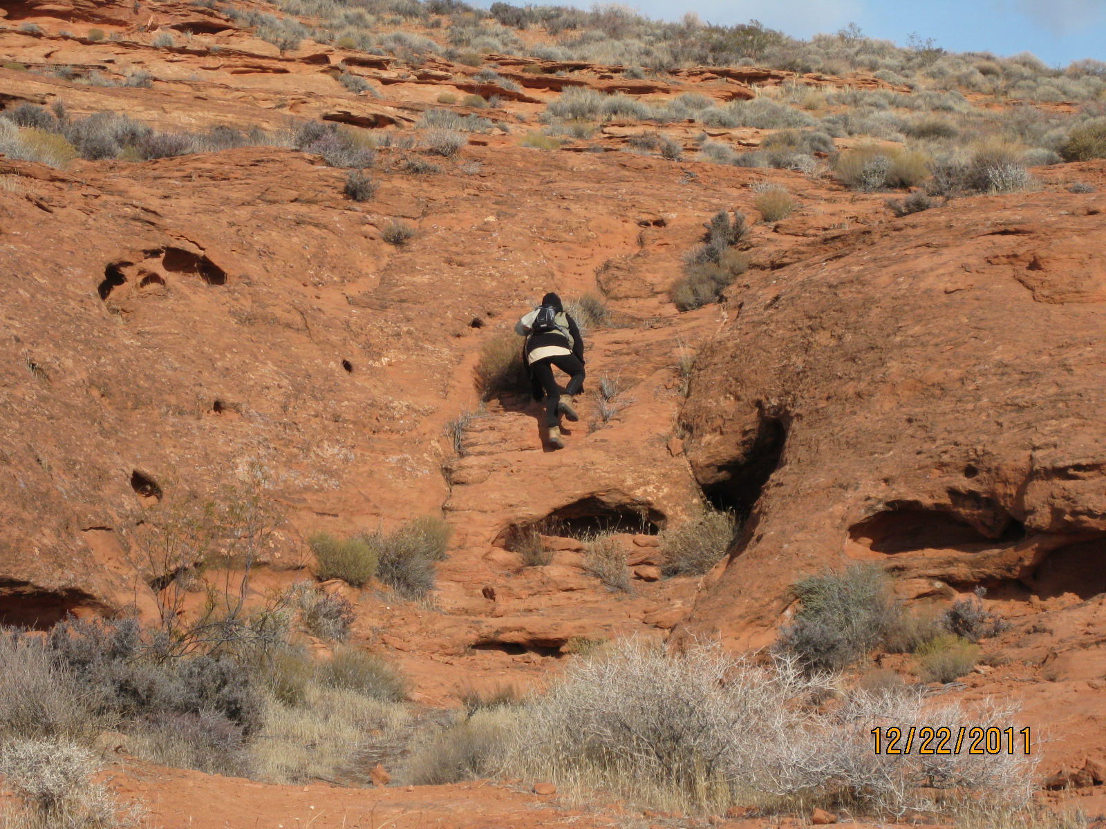 Red Cliffs Desert Reserve Web 14 Uphill Climb On Slickrock red-cliffs-desert-reserve-web-14-uphill-climb-on-slickrock