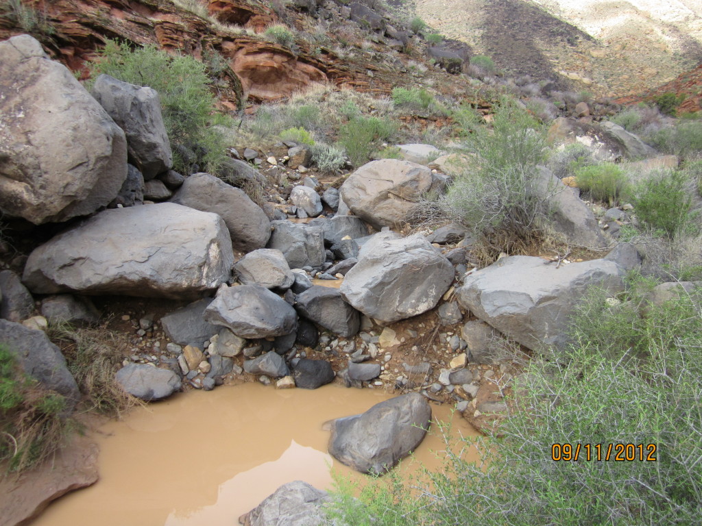 Red Cliffs Desert Reserve » Web #9 – The creek carries water after ... Red Cliffs Desert Reserve » Web #9 – The creek carries water after ...